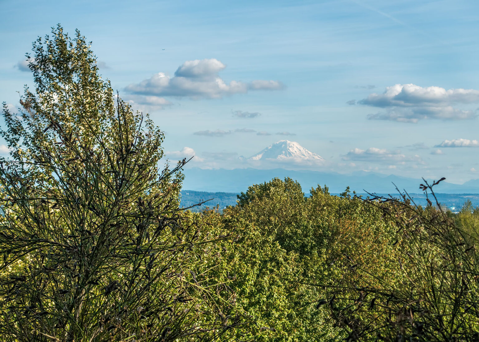 Discover Our Communities - Yakima Valley Farm Workers Clinic