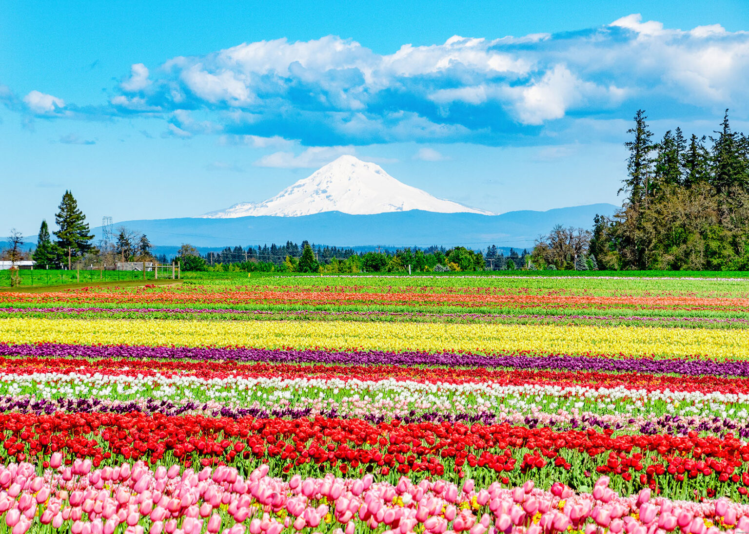 Salem - Woodburn - Yakima Valley Farm Workers Clinic