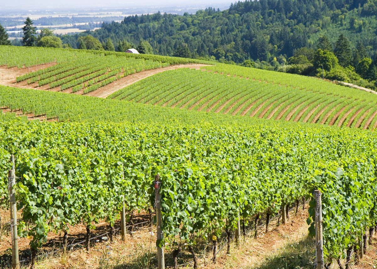 Discover Our Communities - Yakima Valley Farm Workers Clinic